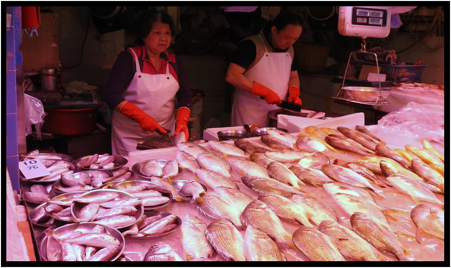 travel - asia - china - hong kong - kowloon - kowloon city market ...