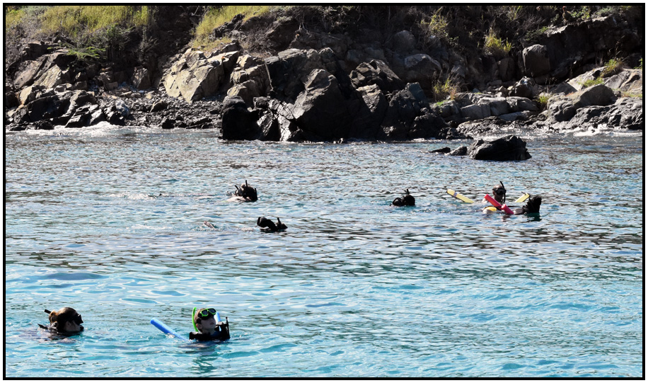 travel - the caribbean - us virgin islands - st thomas - turtle cove ...